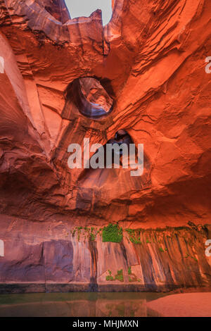 golden cathedral grotto in neon canyon of the escalante drainage in ...