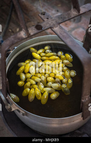 silkworm cocoons in hot water in cauldron. Traditional spinning wheel ...