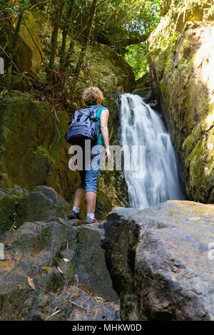 Lovely girl on a walk with a beautiful fluffy dog Samoyed Stock Photo ...