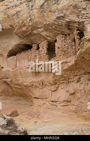 Target Ruins, Ancestral Pueblo, up to 1000 years old, Coomb Ridge area ...