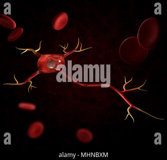 3d Illustration of Neuron anatomy, infographic Stock Photo - Alamy