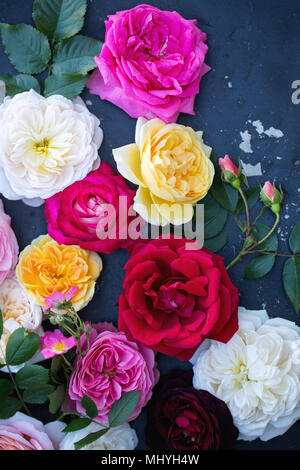 Collection of beautiful multi-colored roses, top view Stock Photo - Alamy