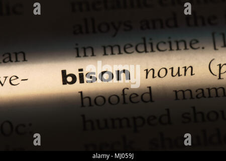 bison word in a dictionary. bison concept Stock Photo - Alamy