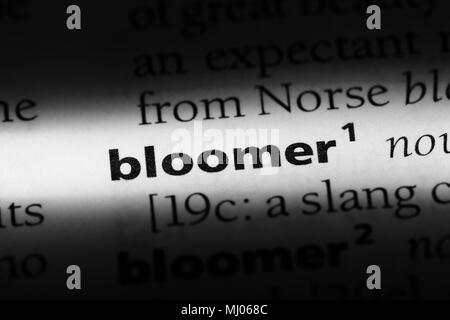 bloomer word in a dictionary. bloomer concept Stock Photo - Alamy
