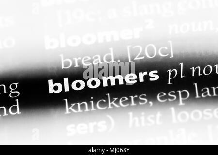 bloomers word in a dictionary. bloomers concept Stock Photo - Alamy