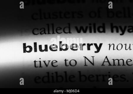 blueberry word in a dictionary. blueberry concept Stock Photo - Alamy