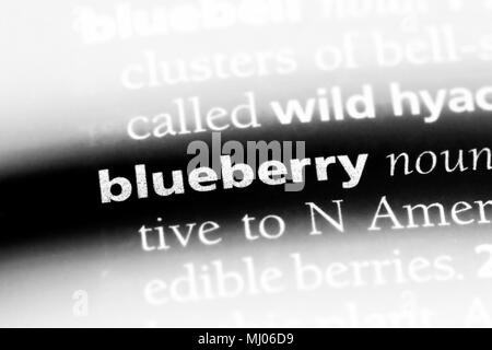 blueberry word in a dictionary. blueberry concept Stock Photo - Alamy