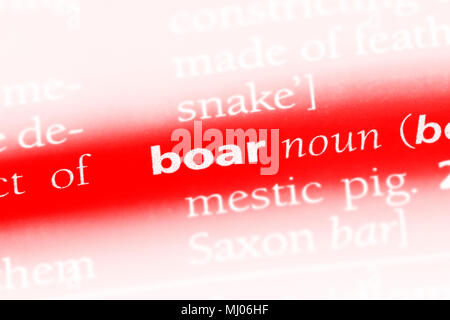 boar word in a dictionary. boar concept Stock Photo - Alamy