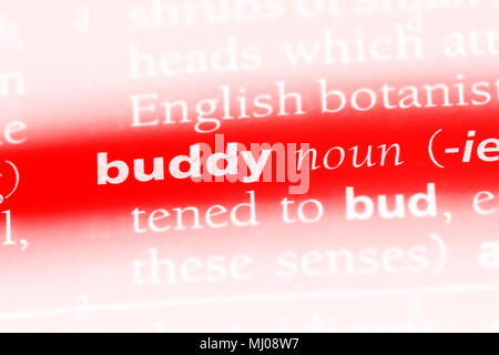 buddy word in a dictionary. buddy concept Stock Photo - Alamy
