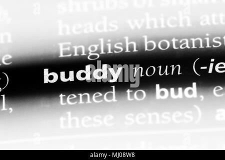 buddy word in a dictionary. buddy concept Stock Photo - Alamy