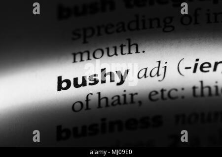 bushy word in a dictionary. bushy concept Stock Photo - Alamy