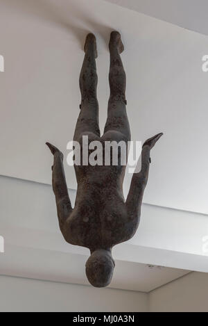 Statue hanging from ceiling at the Wellcome Collection Stock Photo - Alamy