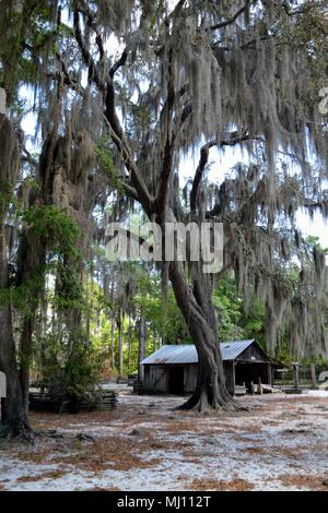 Folkston Georgia,Okefenokee National Wildlife Refuge swamp,Chesser ...