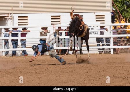 Normanton Queensland, Australia. Novice buck-jumping at the rodeo in ...