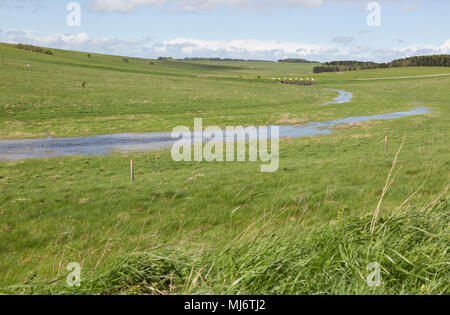 Chitterne Brook, seasonal chalk stream known as a winterbourne in a ...