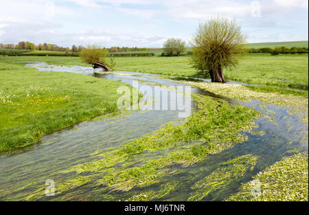 River Till seasonal chalk stream known as a winterbourne, Orcheston ...