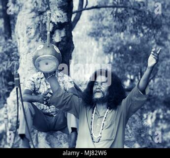 The ektara, A musical instrument. India Stock Photo - Alamy