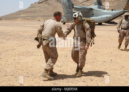 Lt. Col. Farrell Sullivan, commanding officer of Battalion Landing ...