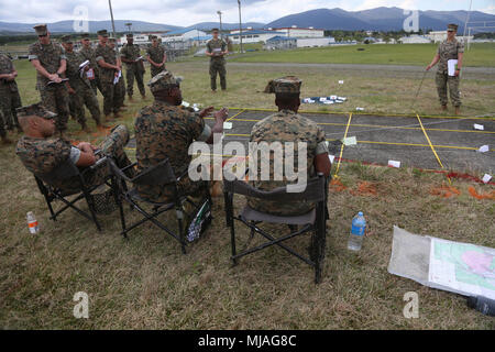 Lt. Col. Leroy B. Butler, the former commanding officer of 3rd ...