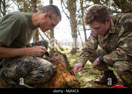 A Royal Marine Commando with 148 Battery, Royal Marine Commandos ...