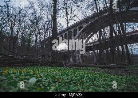 Rocky River Reservation Metroparks Stock Photo - Alamy