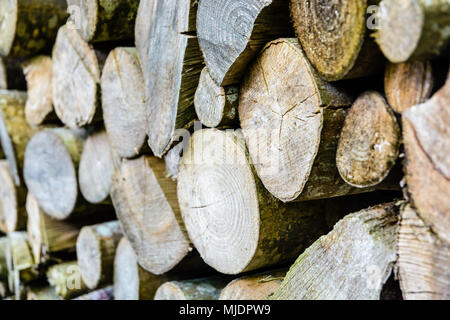 A close up of a stack of weathered logs Stock Photo - Alamy