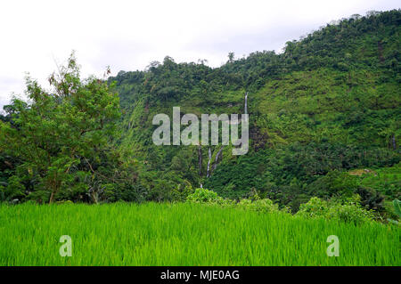 Naringgul Waterfall, Cianjur Selatan, West Java, Indonesia Stock Photo - Alamy