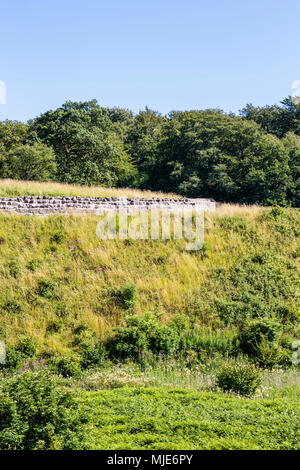 The Lilleborg castle ruins, Europe, Denmark, Bornholm Stock Photo - Alamy
