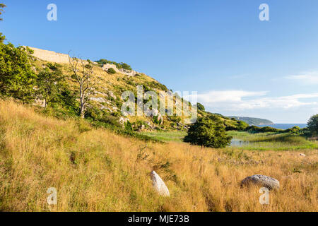 Vegetation on the coast directly below the ruins of Hammershus, Europe ...