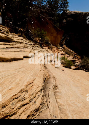 Lithification of sand dunes is the process turning unconsolidated sand ...