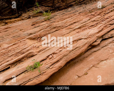 Lithification of sand dunes is the process turning unconsolidated sand ...