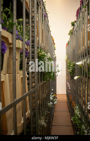 Cut Flowers in Storage Racks Stock Photo - Alamy