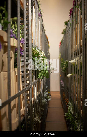 Cut Flowers in Storage Racks Stock Photo - Alamy