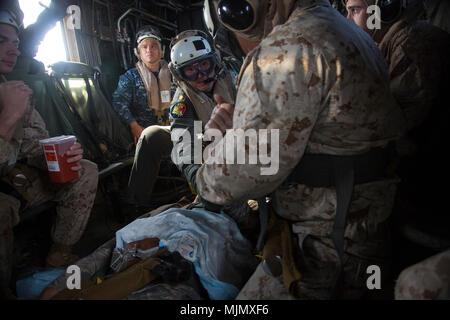Navy Lt. Cmdr. Erik Hardy, the Joint Enroute Care Course (JECC) liason ...