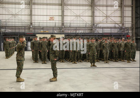 Lieutenant Col. Karin Fitzgerald, the commanding officer of Special ...