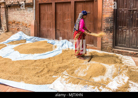 Woman using traditional way of sifting rice in Bhaktapur Nepal Stock ...