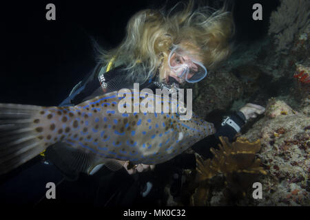 Female scuba diver looks at filefish at night. Scrawled Filefish ...