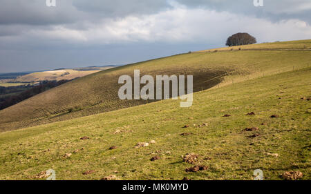 Win Green, the highest point in Dorset Stock Photo - Alamy
