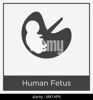 Fetus Stage Illustration. Fetal icon. Seven week embryo. Pregnancy ...