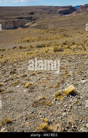 Views of landscape of Andes foothills Stock Photo - Alamy