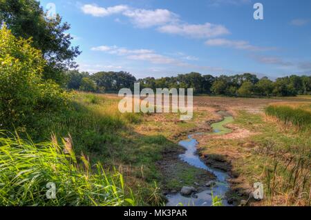 Lake Shetek is a State park in Southern Minnesota. Taken during Summer ...