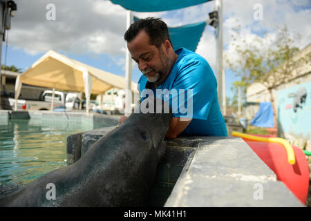 Dr. Antonio Mignucci, a biological oceanographer specializing in the ...
