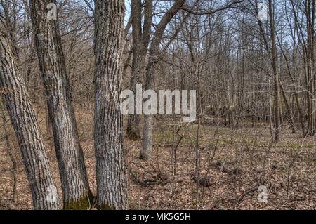 Crow Wing State Park is located in north central Minnesota by the ...