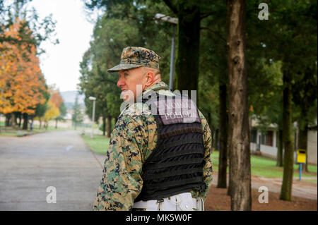 Brig. Gen. Tomo Kolenda, Commander of the 4th Infantry Brigade of the ...