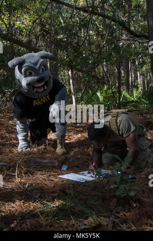 Sgt. Rocky, 3rd Infantry Division's mascot, practices his kickball ...