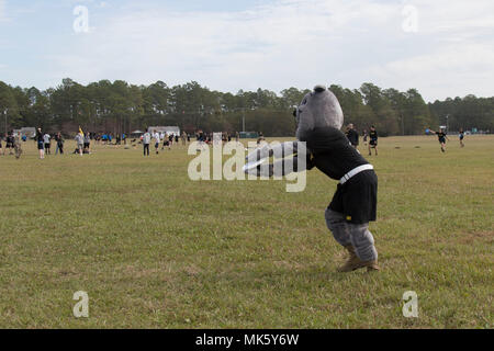 Sgt. Rocky, 3rd Infantry Division's mascot, congratulates Soldiers from ...