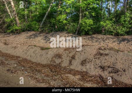 Bowstring Lake is Part of the Leech Lake Native American Reservation in ...