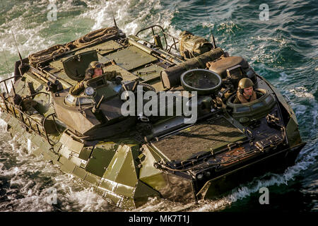 An AAV-P7/A1 assault amphibious vehicle (AAV) crosses the road to Stock ...