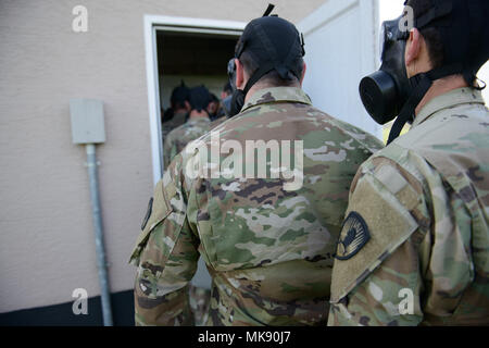 U.S. Soldiers with 650th Military Intelligence Group wash their M50 ...