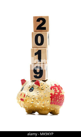 Symbol of 2019 chinese new year yellow ground pig on holiday festive ...